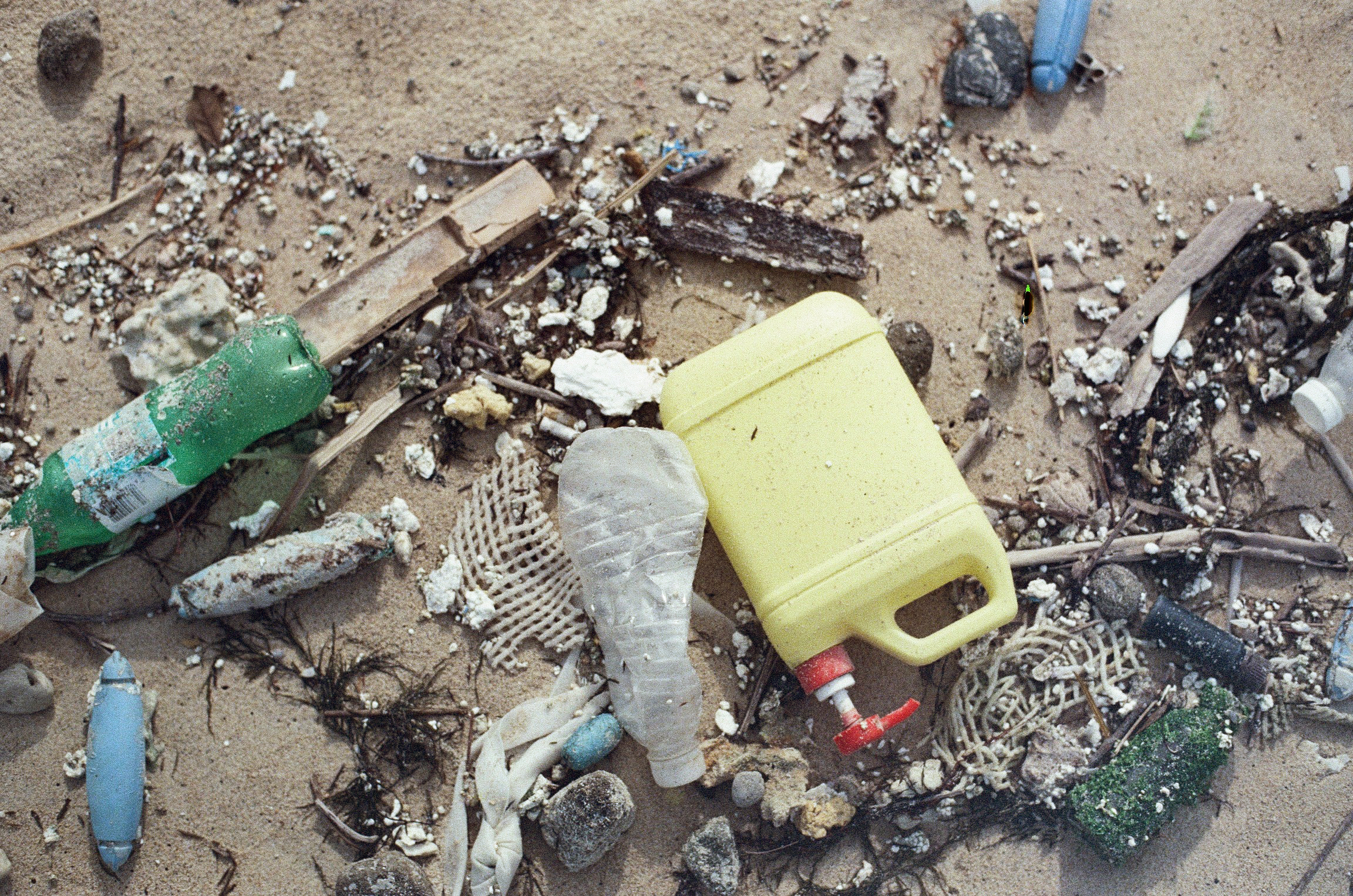 Provocative Objects: Stranded Marine Waste and the Unfinished Histories ...